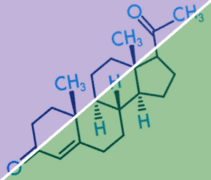 Synthetic Progestin vs Bioidentical Progesterone Hormone Therapy ...