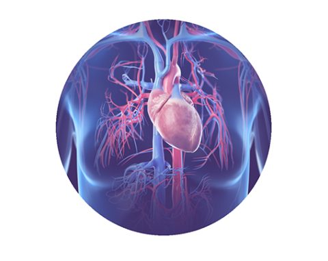 Bioidentical Hormone Replacement Therapy (BHRT) Pellets